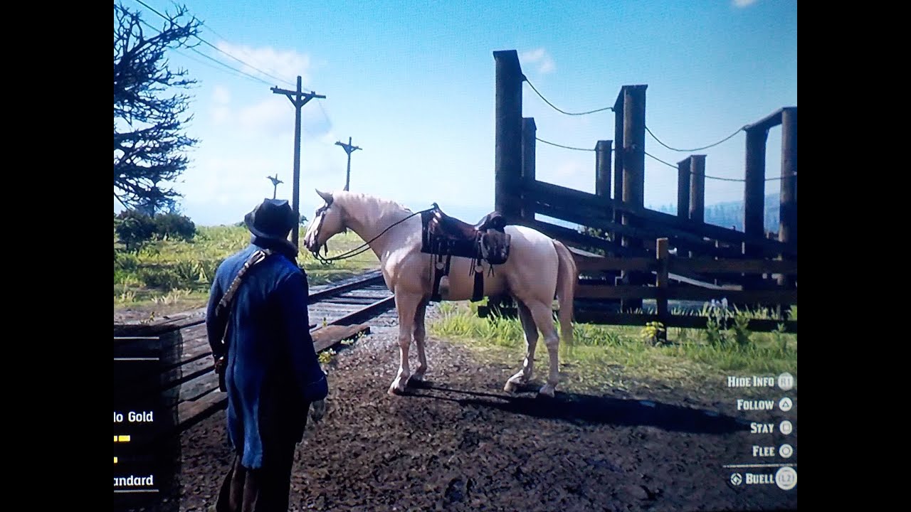 Red Dead Redemption 2 Buell Speed And Stamina test And Sell Price - YouTube