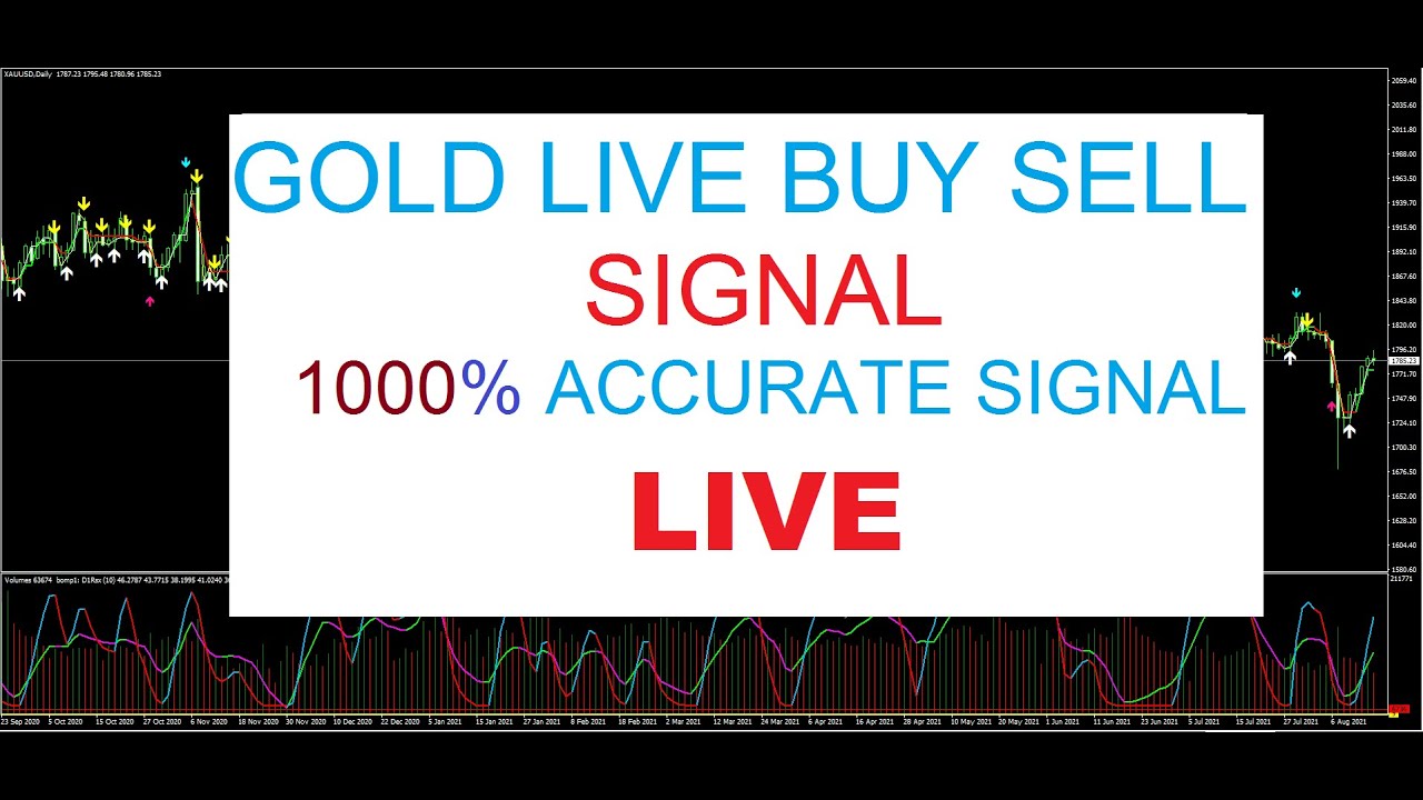 GOLD LIVE TRADING - XAUUSD LIVE TRADING - GOLD LIVE NEWS - YouTube