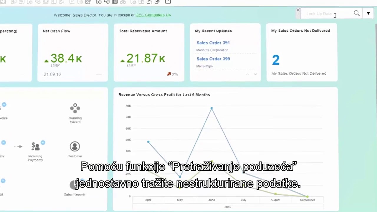 Dashboard analysis with SAP Business One powered by SAP HANA - YouTube