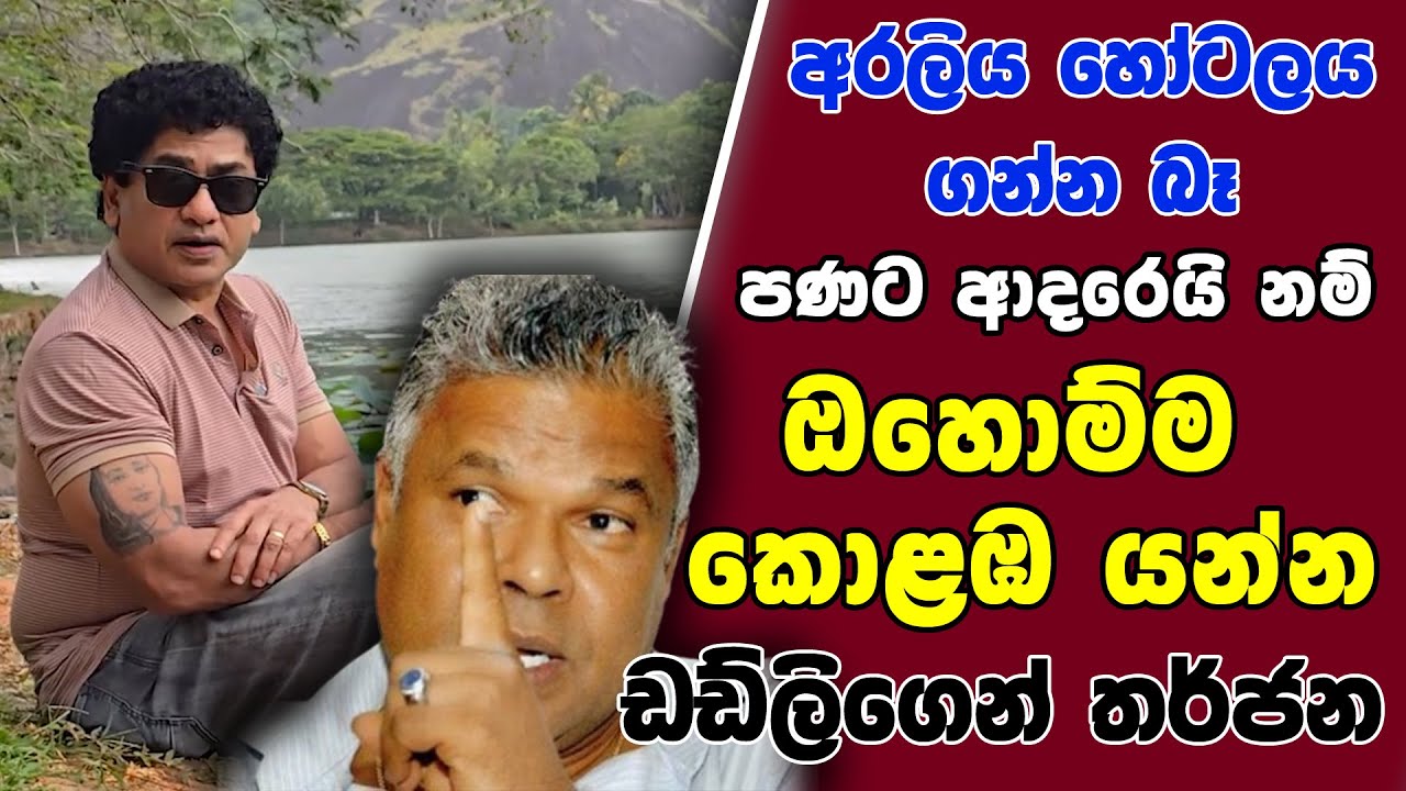 අරලිය හෝටලය ගන්න බෑ පණට ආදරෙයි නම් ඔහොම්ම කොළඹ යන්න | ඩඩ්ලිගෙන් තර්ජන ...