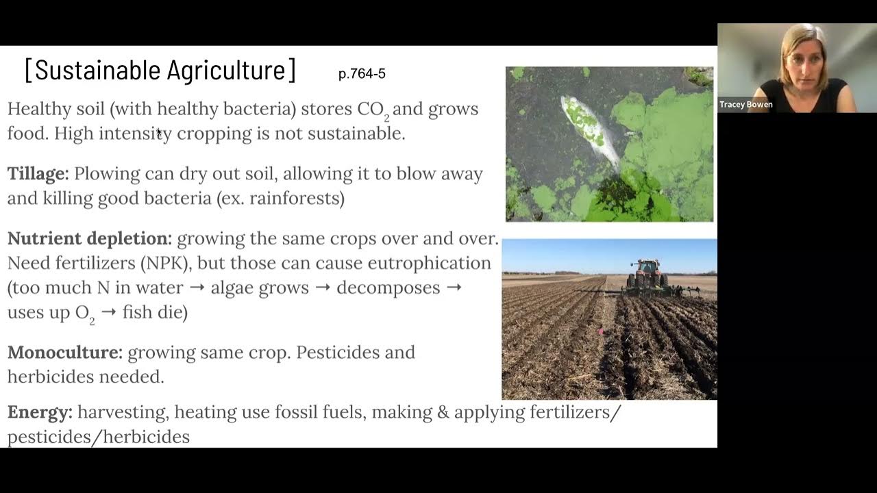 D4.2 Stability and Change - YouTube