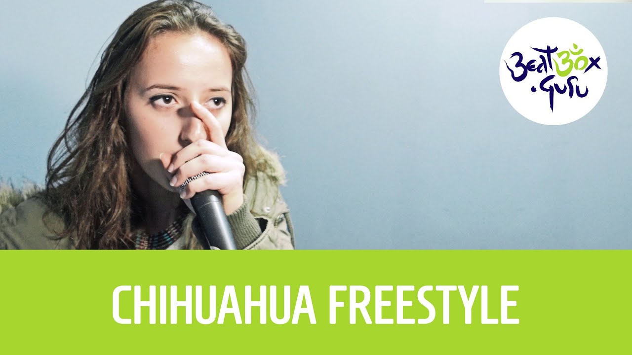 Chihuahua drops hot #PolishBeatbox freestyle @ beatbox.guru - YouTube