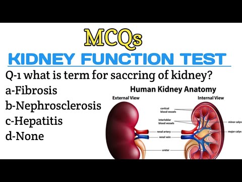 kidney Function Test|Human kidney mcqs|Best Question and answers| urdu ...