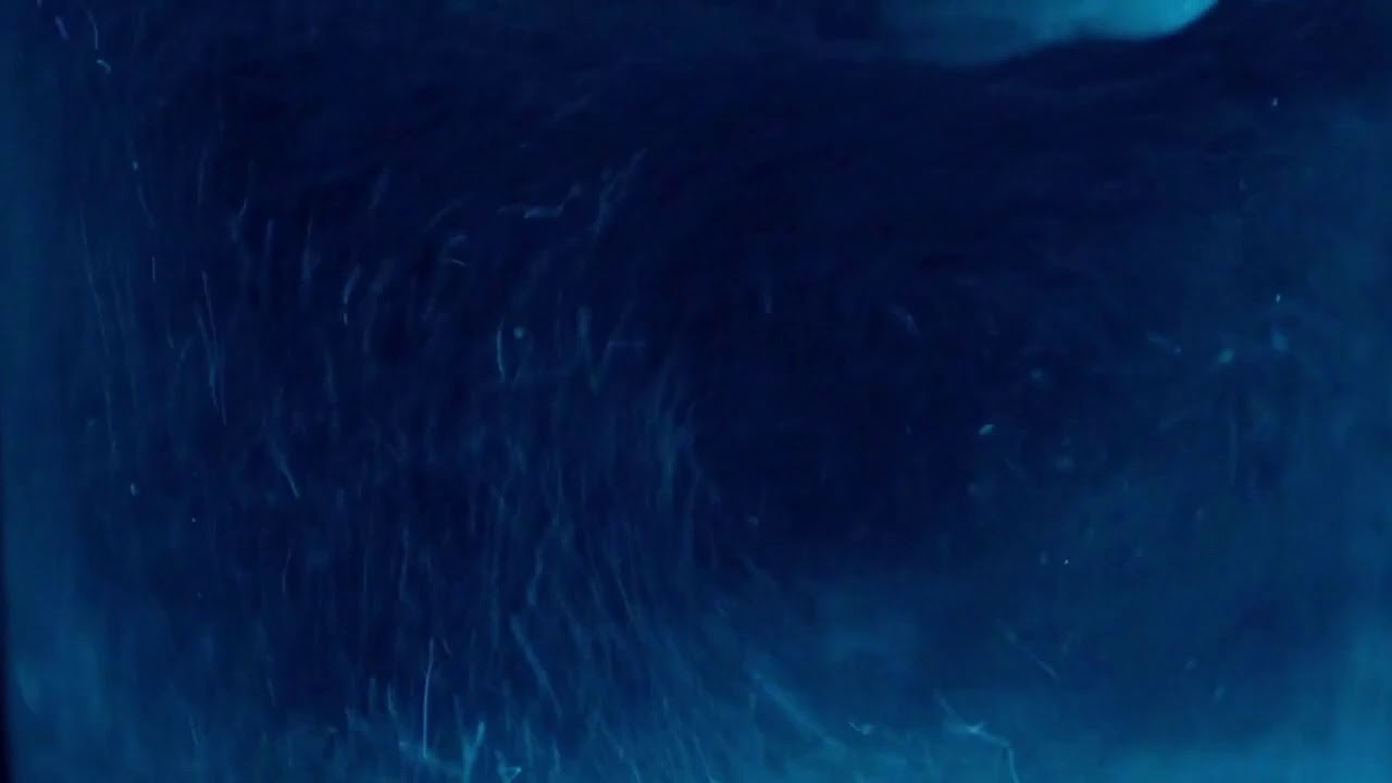 Excerpt YouTube excerpt-youtube