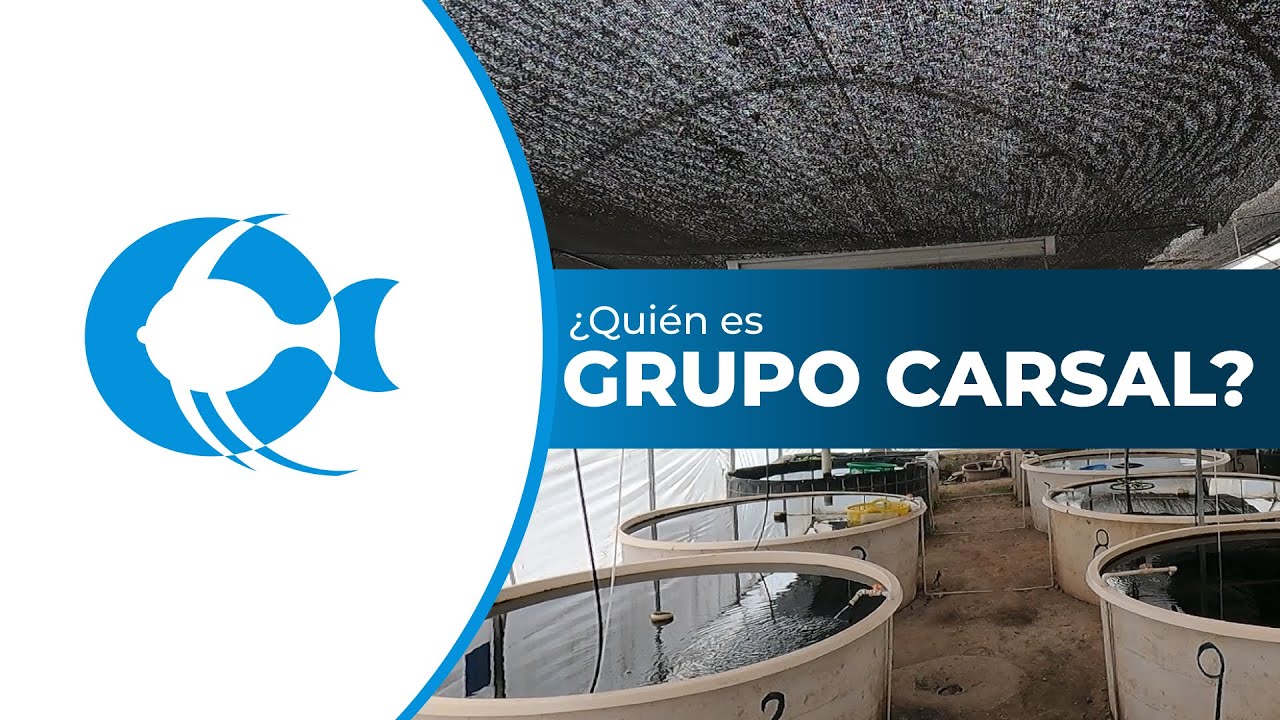 GRUPO CARSAL | Video presentación ¿Quiénes somos? - YouTube