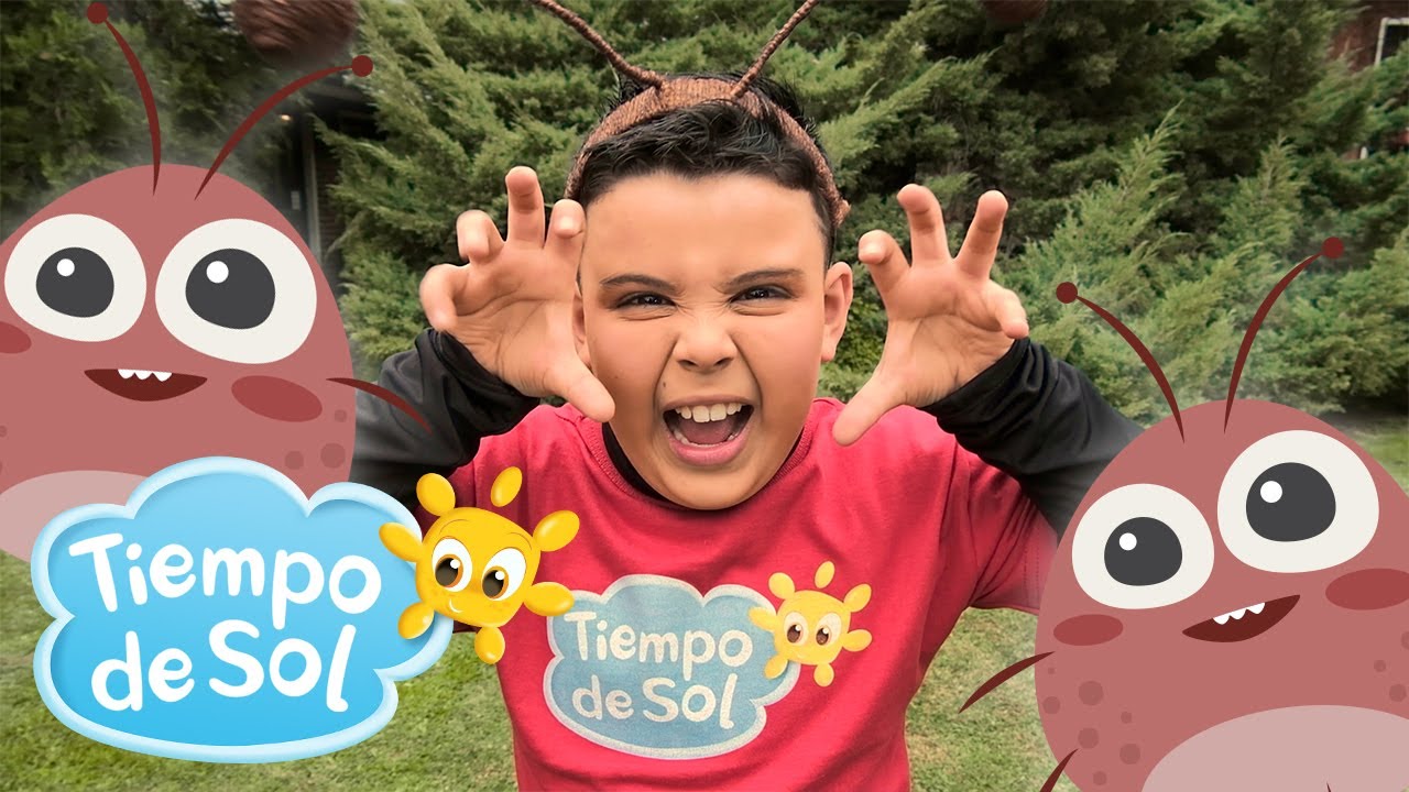 La Pulga CANCI N ESTRENO D o Tiempo De Sol YouTube la-pulga-canci-n-estreno-d-o-tiempo-de-sol-youtube