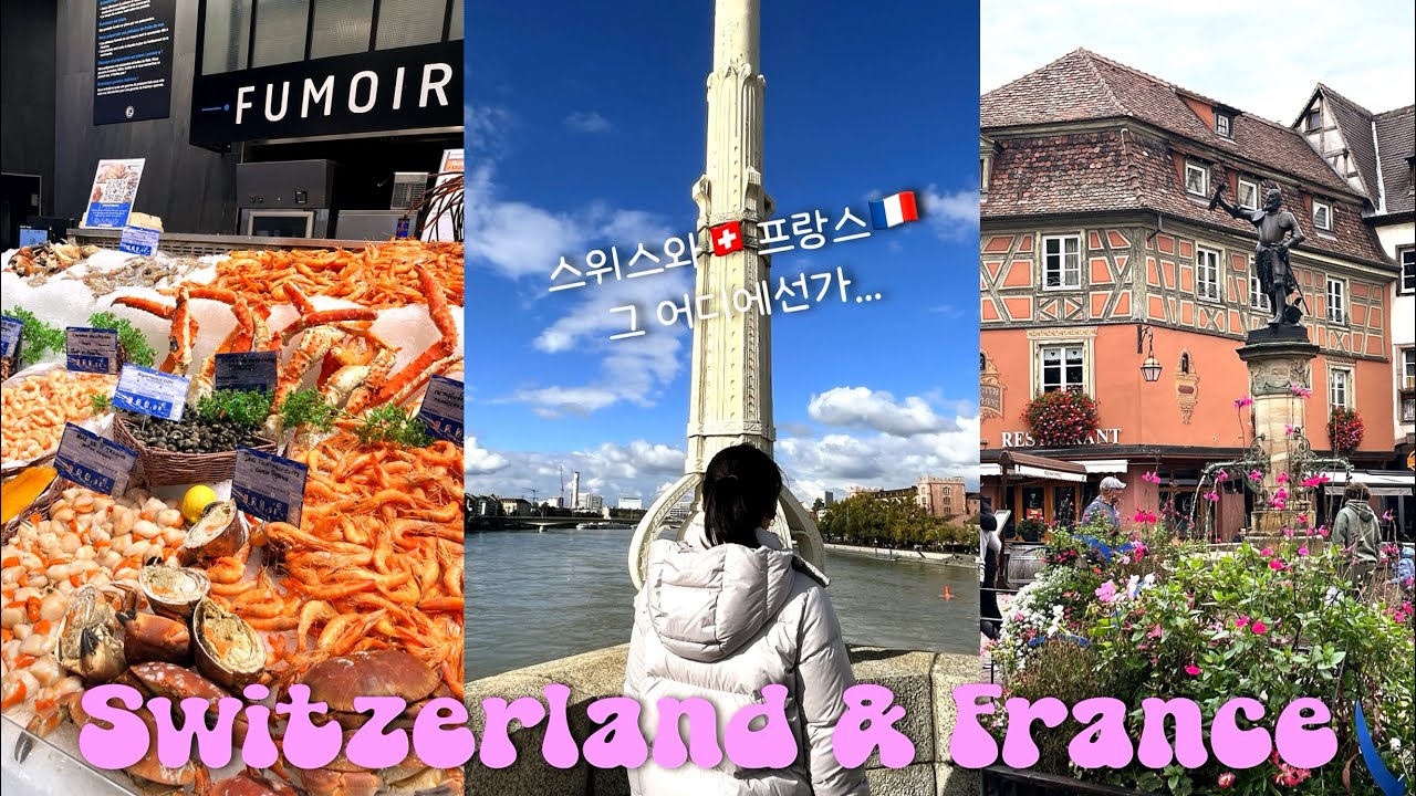 스위스여행🇨🇭vlog 칭구야 기다려🥰 프랑스 대형마트 장보기 스위스댁에서 사육당하기🦀 바젤 피자맛집 린트 핫