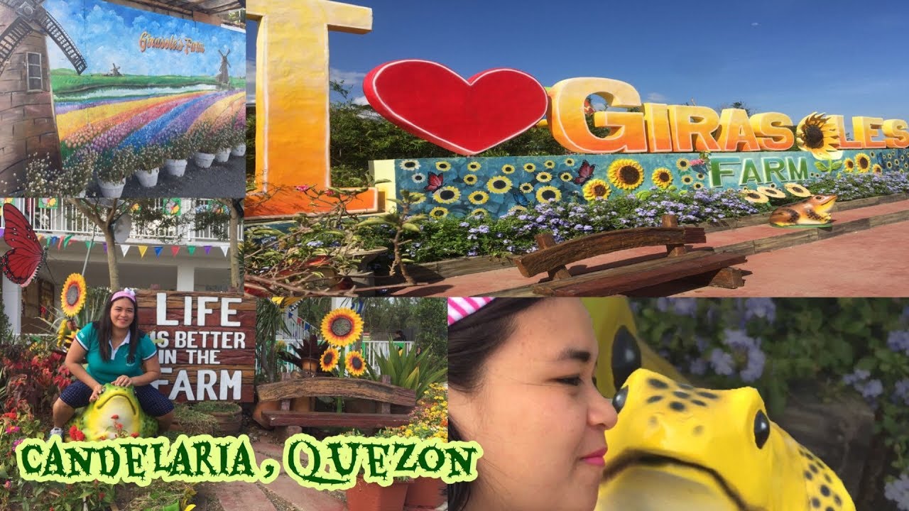Girasoles Farm - Candelaria , Quezon | Mga Ka Angels - YouTube