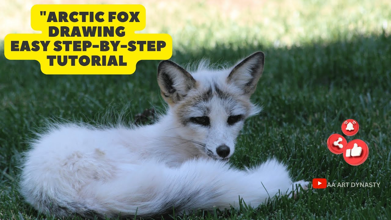 "Arctic Fox Drawing for Kids: Easy Step-by-Step Tutorial and Fun Arctic ...