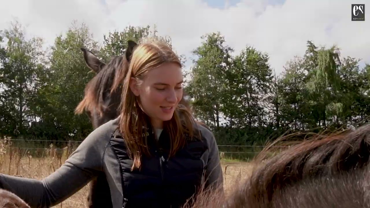 Grovfoderanalyse og foderplan - YouTube