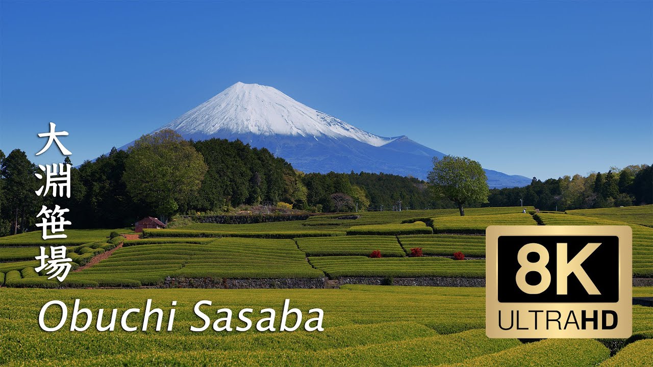 Obuchi Sasaba Green Tea Plantations and Mt. Fuji - Shizuoka - 大淵笹場 - 8K ...
