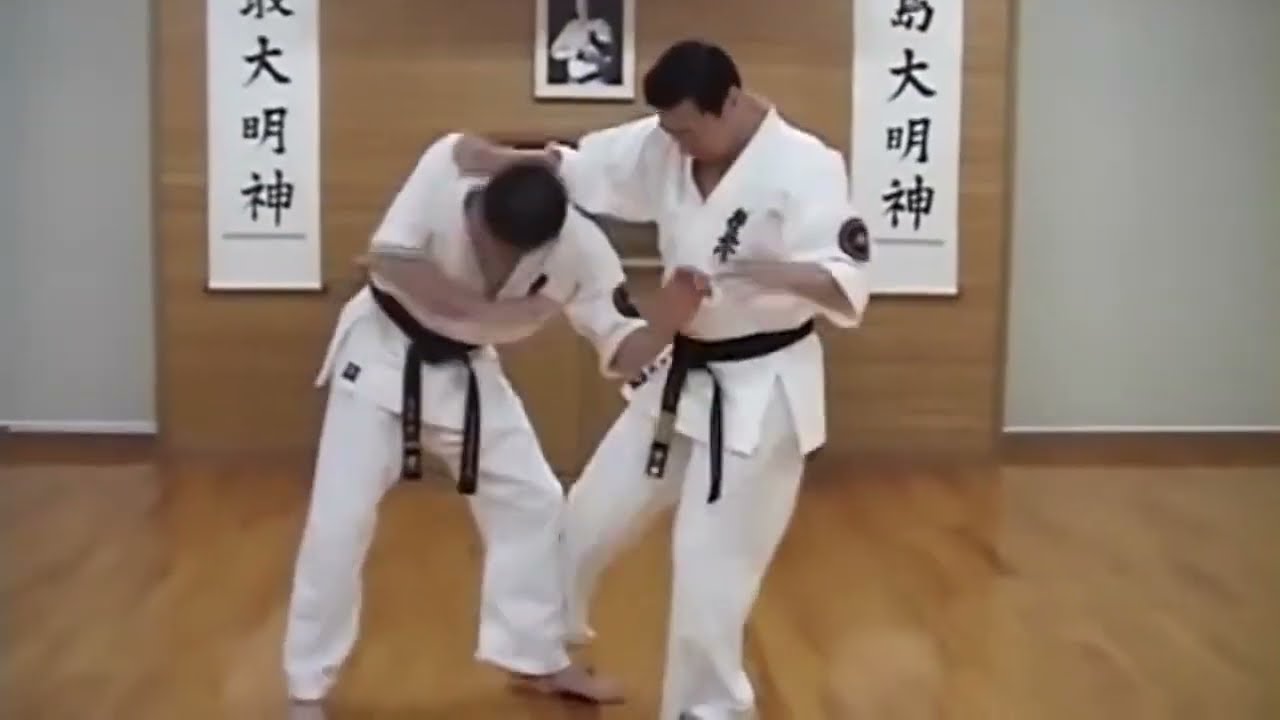 Kyokushin Karate - Demonstration of Kyokushin Techniques by Daigo Oishi ...