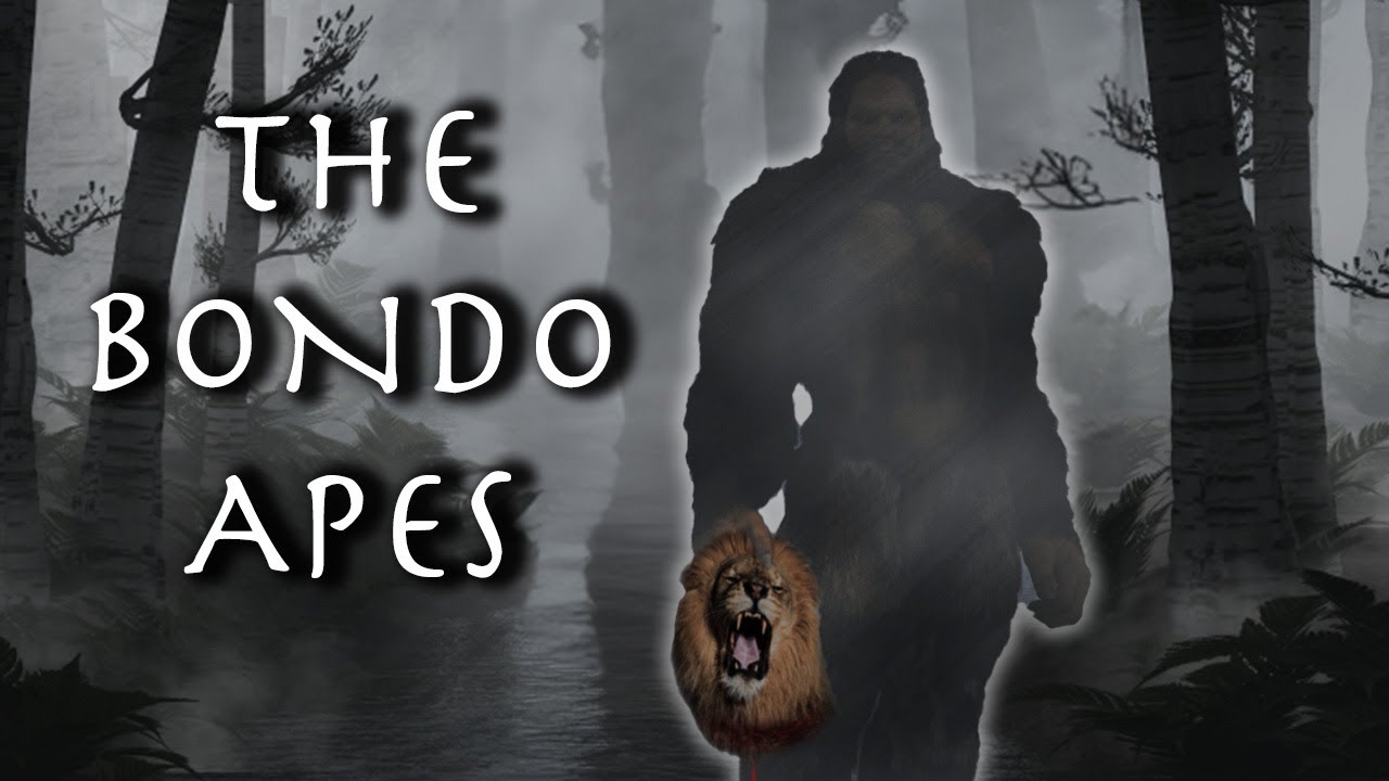 The Theory Of The Bondo Apes - YouTube