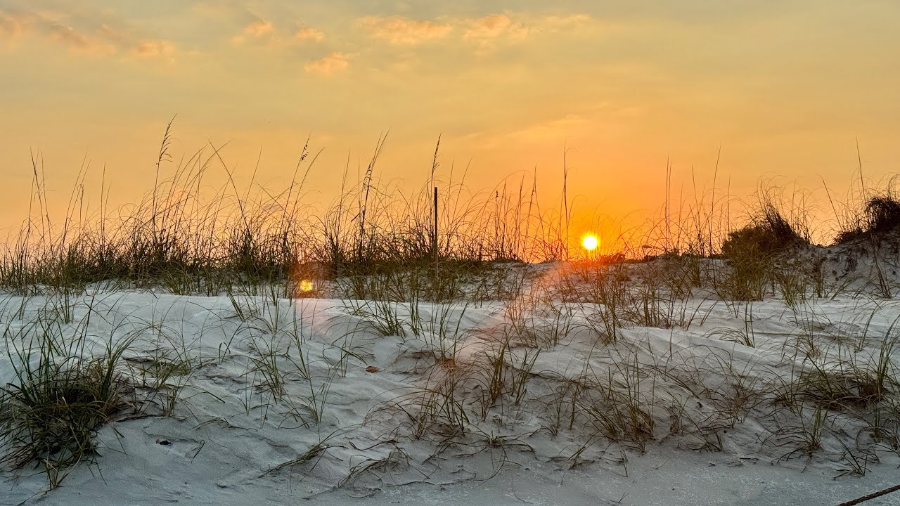 Ru ta ngậm ngùi, St Trịnh Công Sơn, Tb Vy - YouTube