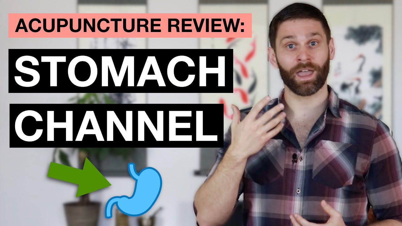Points Review: Stomach Channel Acupuncture Meridian - YouTube
