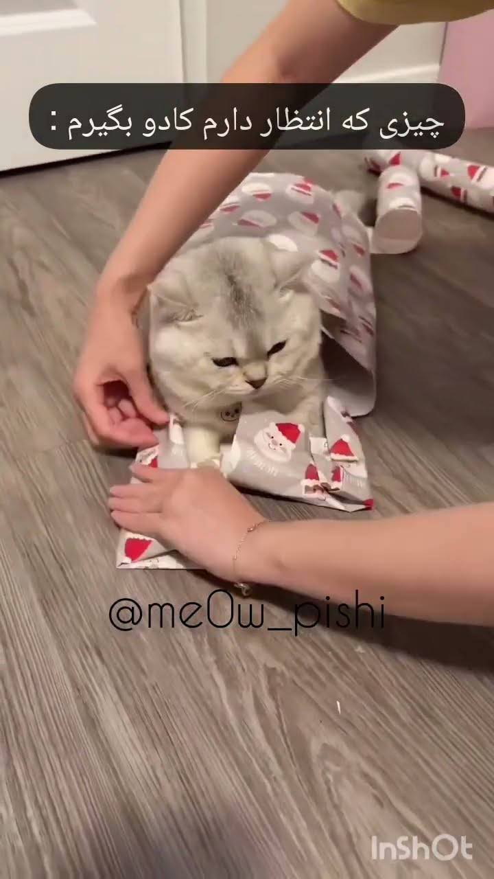 29 July 2024 - YouTube