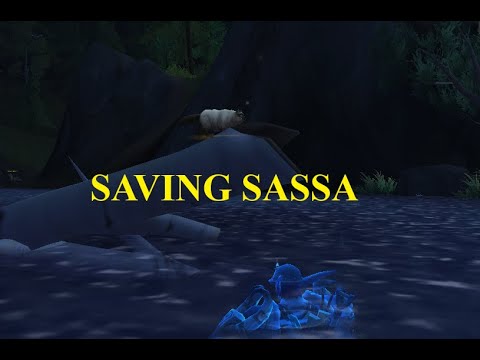 An Amazing Journey Quest (Saving Sassa) - YouTube