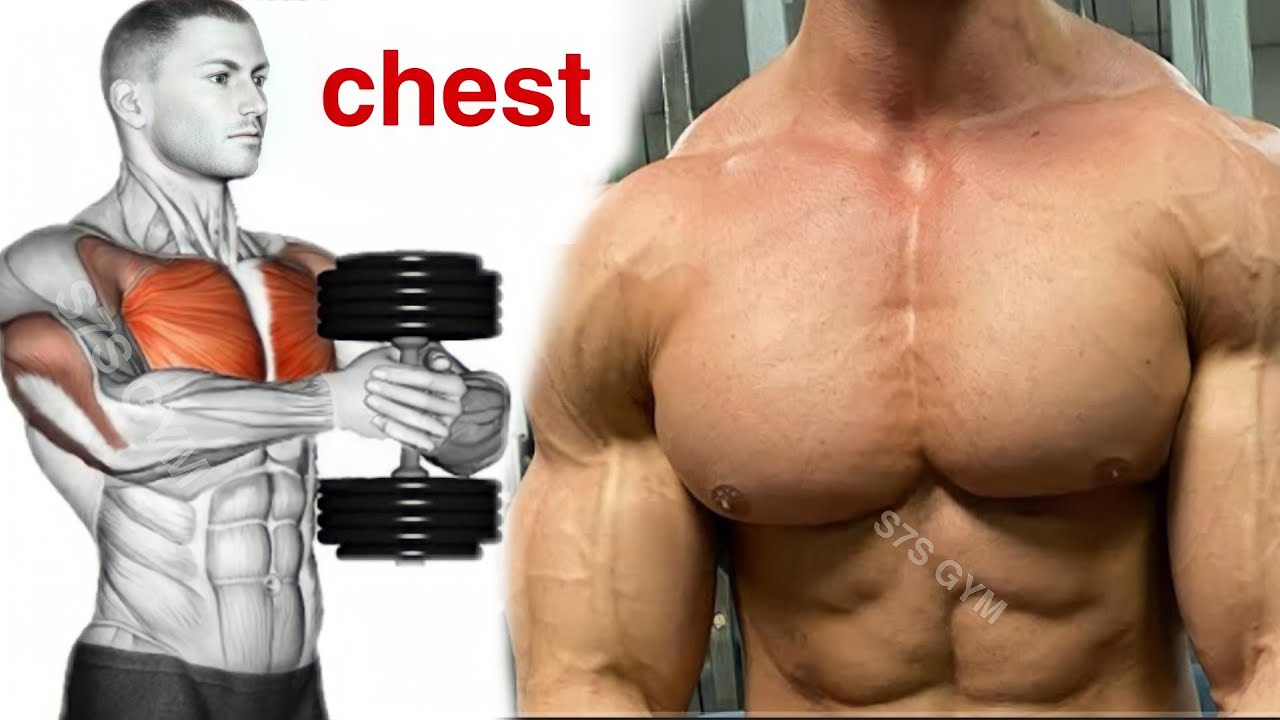Perfect chest exercises, fast results - YouTube