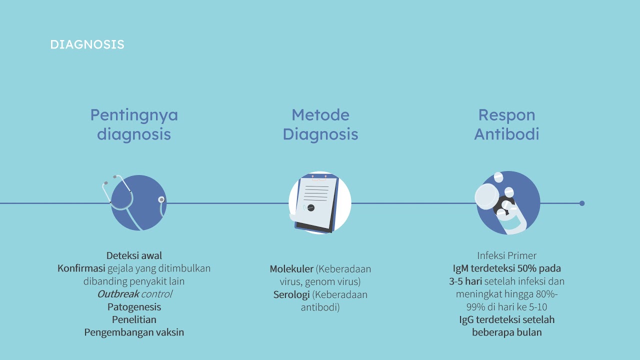 RDT for Dengue - Serologi 3 - YouTube
