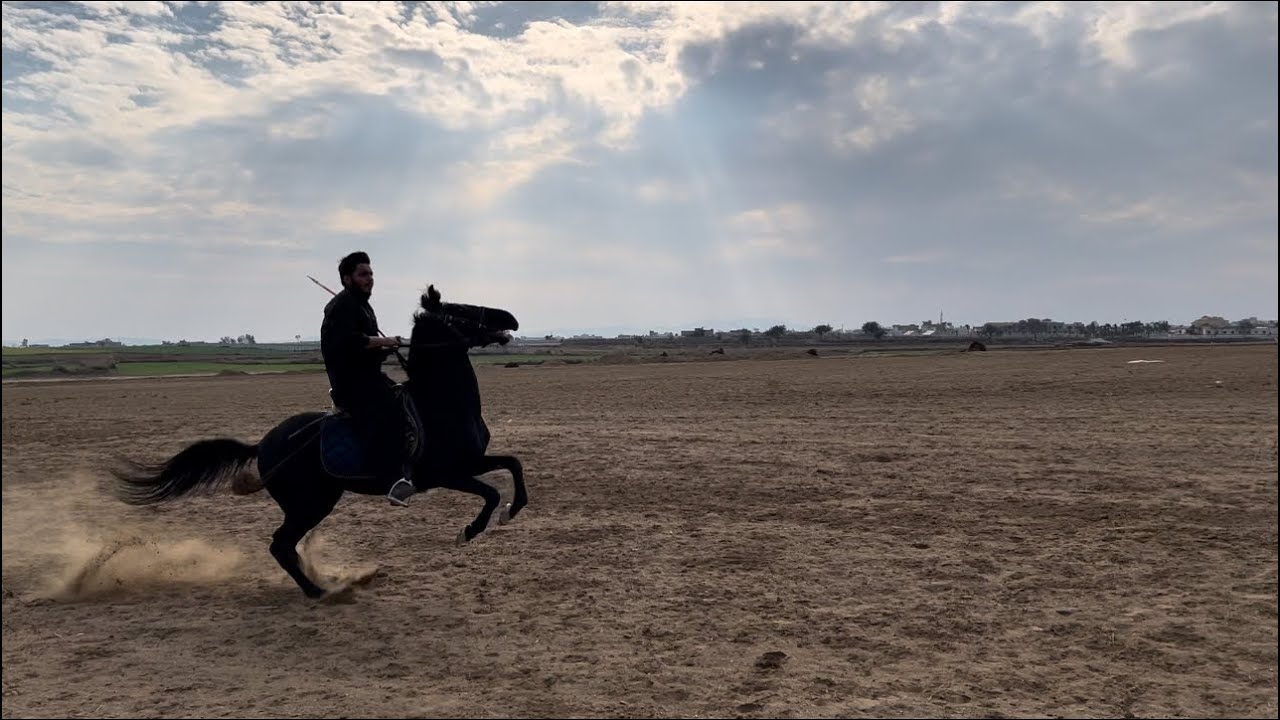 Practice🐎|daily routine vlog♥️|gup shup 😂 - YouTube