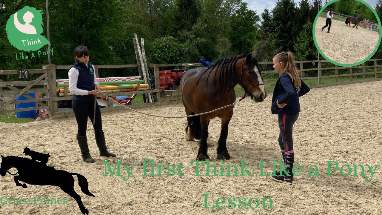 My first Think Like a Pony Lesson - YouTube
