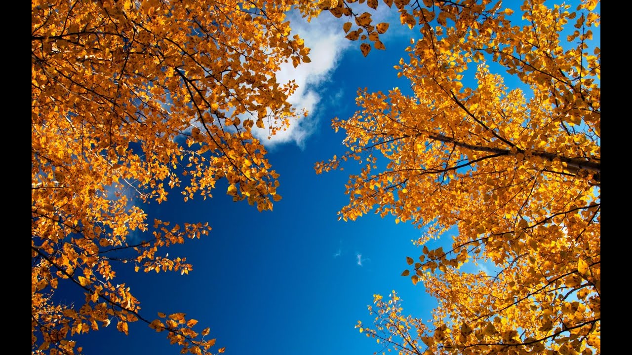 Autumn sky - 1 hour meditation music - YouTube