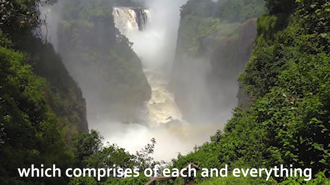 BIODIVERSITY Short Film For Biodiversity Awareness Contest 2020 GGSCW 26 A Film By BHAVUK biodiversity-short-film-for-biodiversity-awareness-contest-2020-ggscw-26-a-film-by-bhavuk