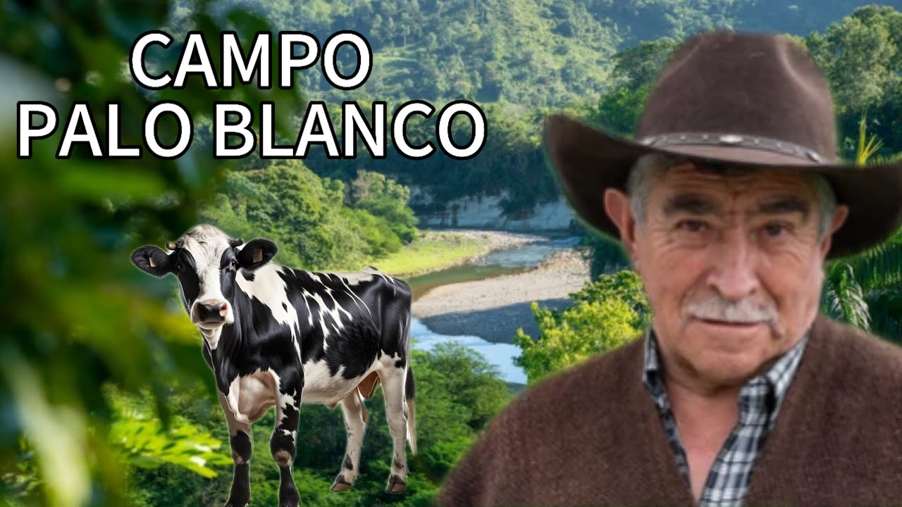 PALO BLANCO UNO DE LOS CAMPOS MÁS BONITOS DE REPÚBLICA DOMINICANA - YouTube
