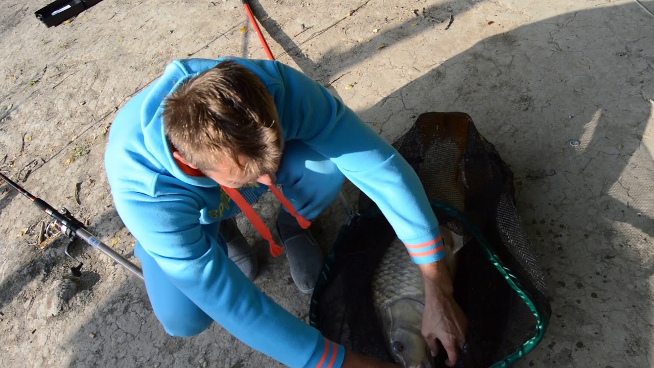 SASTAGO CRAP DE 12 KG LA FEEDER - YouTube