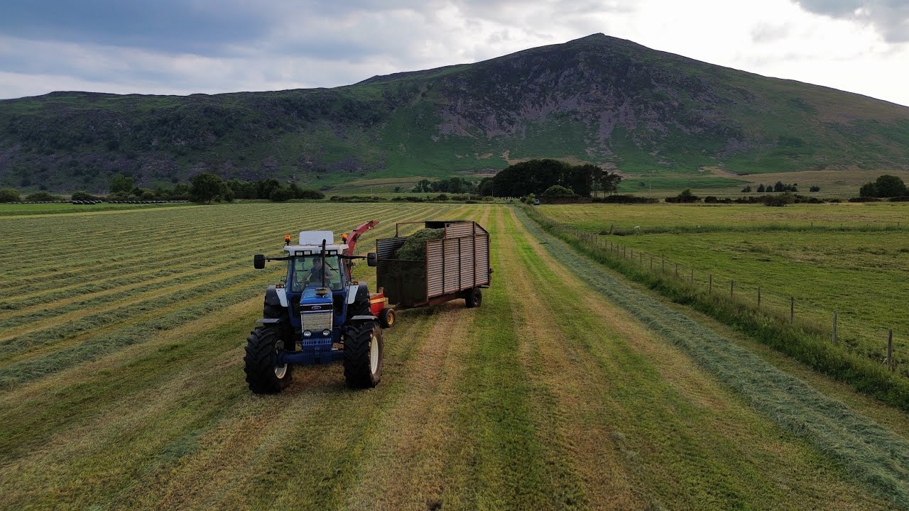 SILAGE LIKE IT'S THE 1980s!! FORD 8210 & NEW HOLLAND 719 DRAG FORAGER ...
