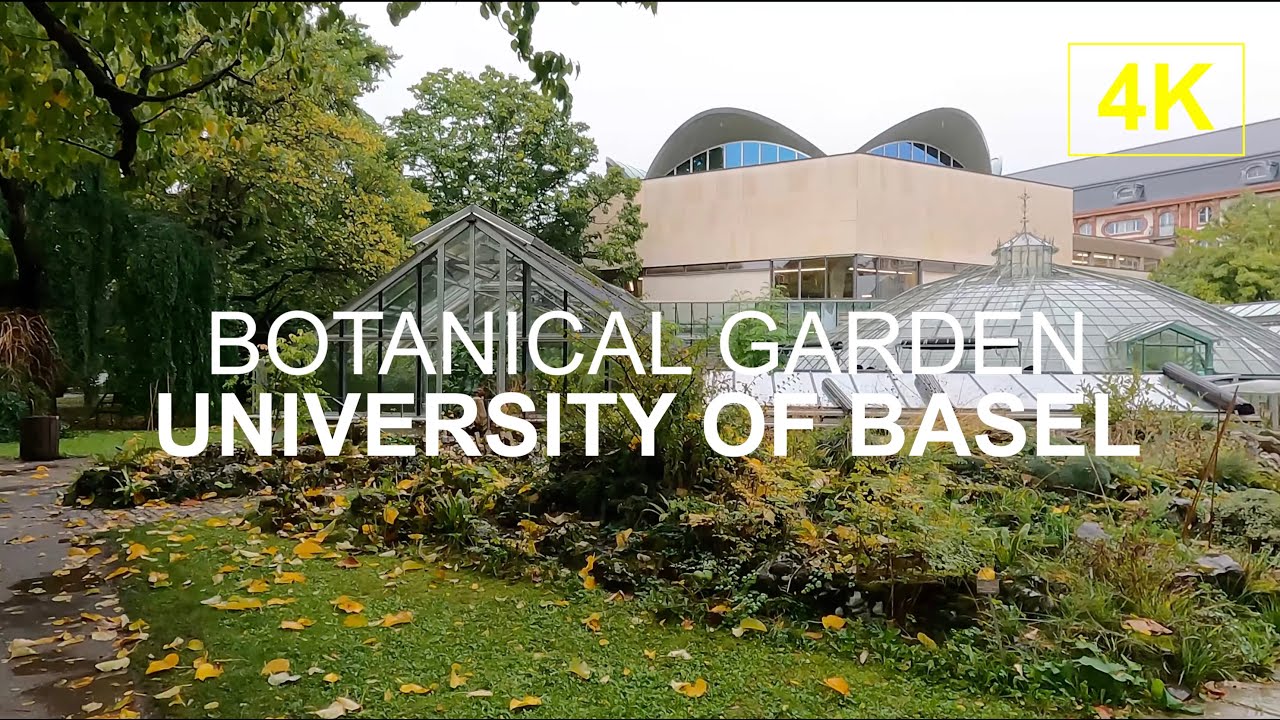 BASEL, SWITZERLAND | University of Basel Botanical Garden l 4K Walk ...