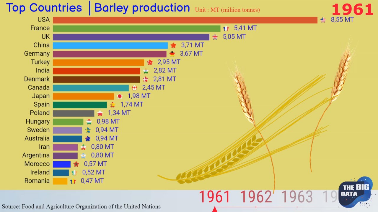Top world's largest Barley producing countries - YouTube