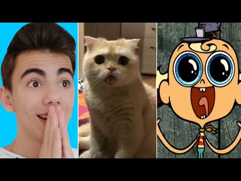 EN KOMİK VİDEOLAR *GÜLMEKTEN ÖLDÜM*