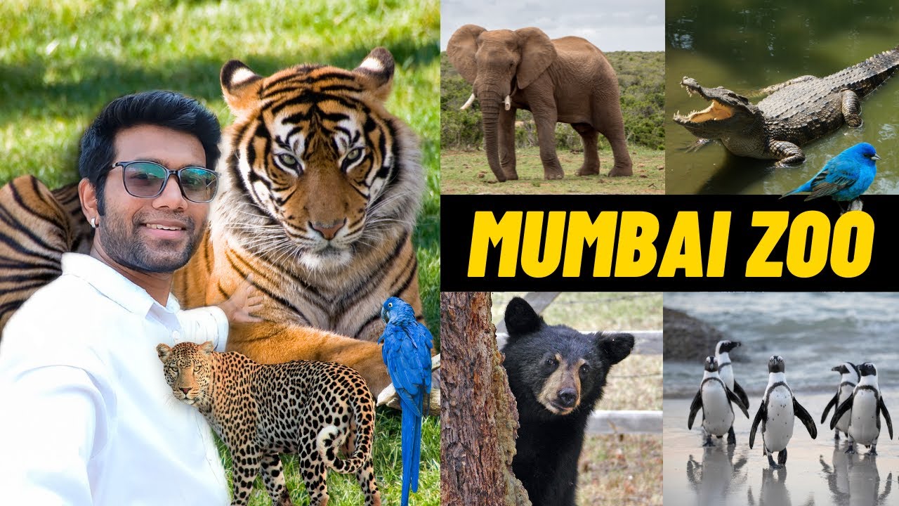 Mumbai Byculla Zoo | New Species | Entry-Ticket Price | Full ...