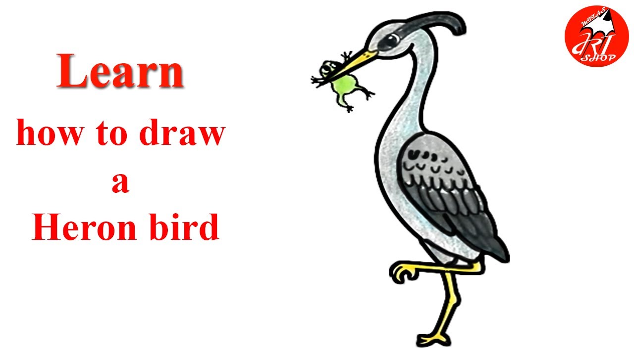 how to draw a heron bird| heron drawing easy | - YouTube