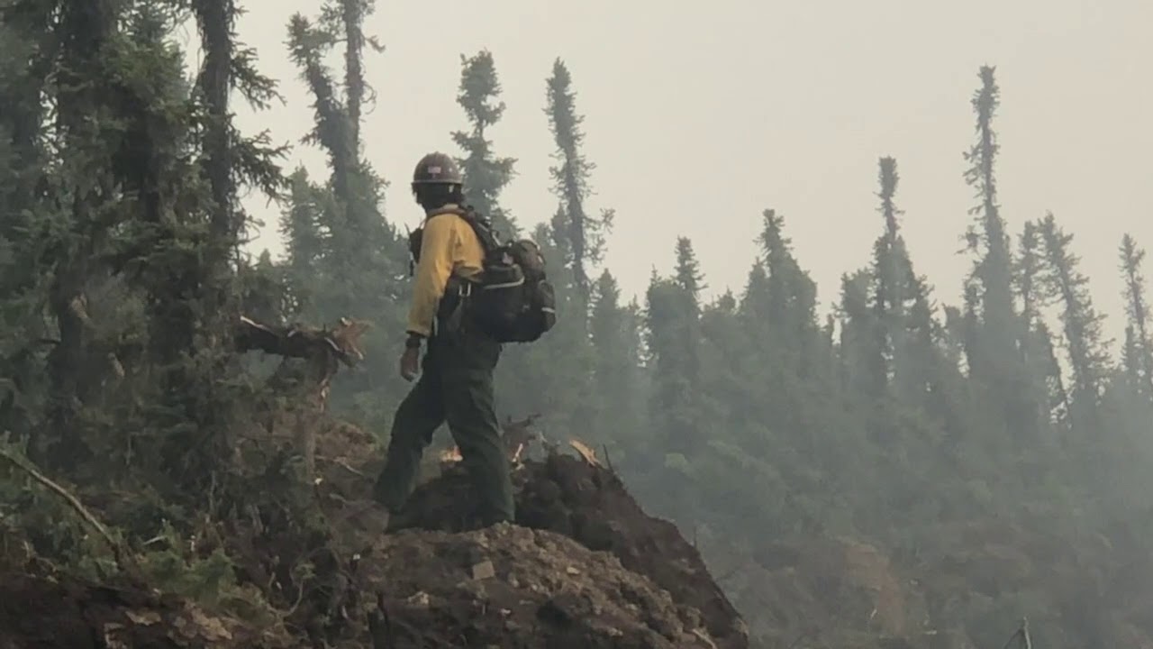 Fireline Dozer Mopup July 10 - YouTube