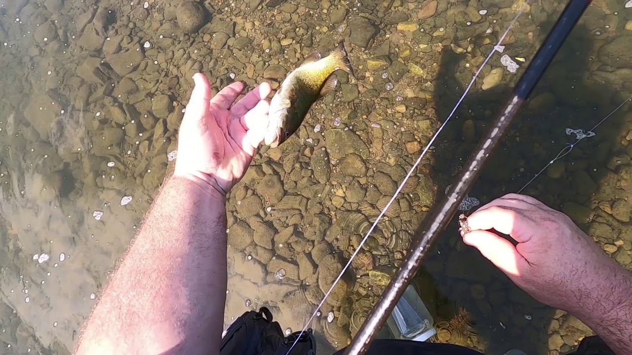 Juniata River Fishing Huntingdon - YouTube