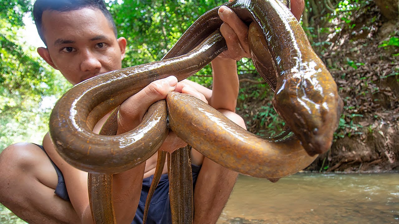 Viral Videos Survival Cooking Big Eels Fried Rice Eating Delicious ...