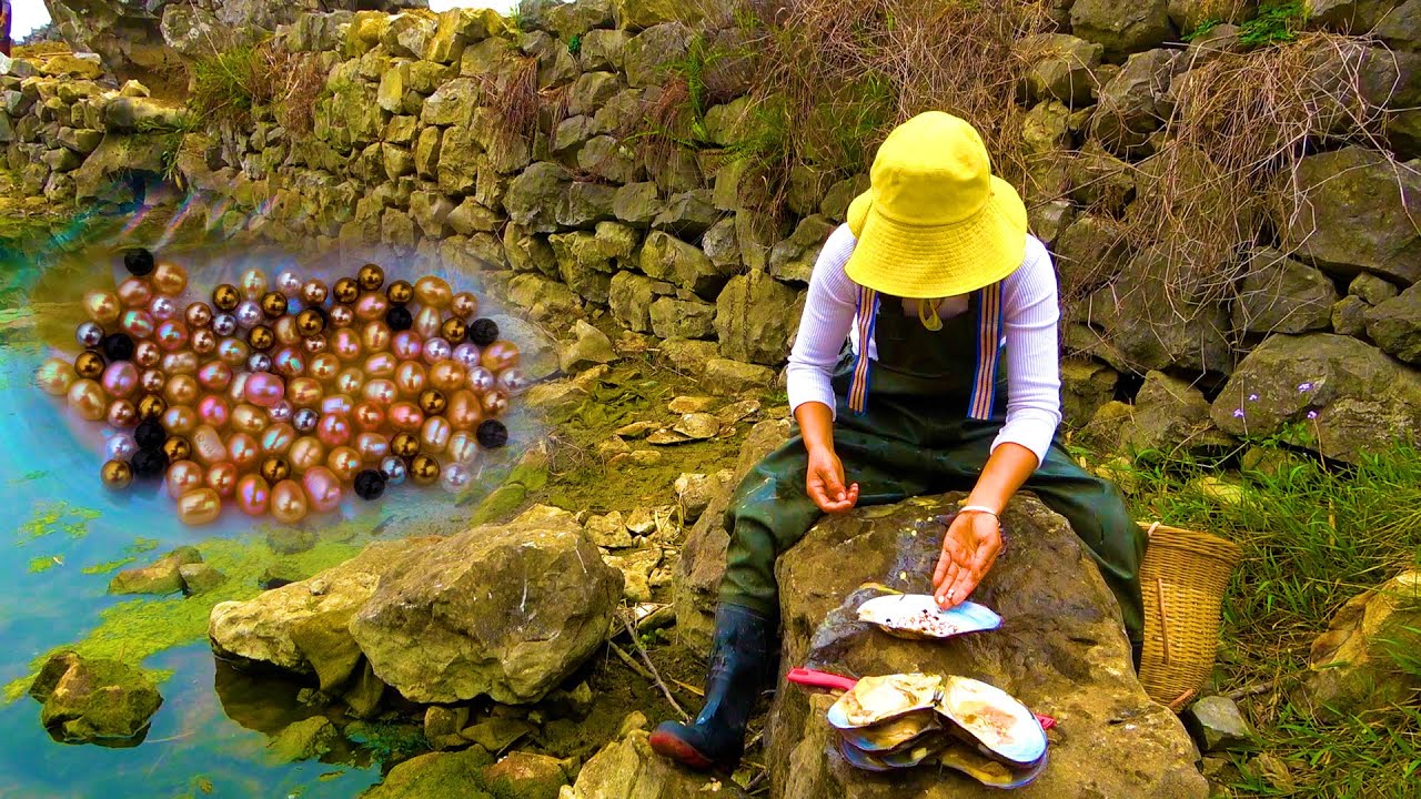 Danshui River pulls out pearls, every grain is top-notch - YouTube