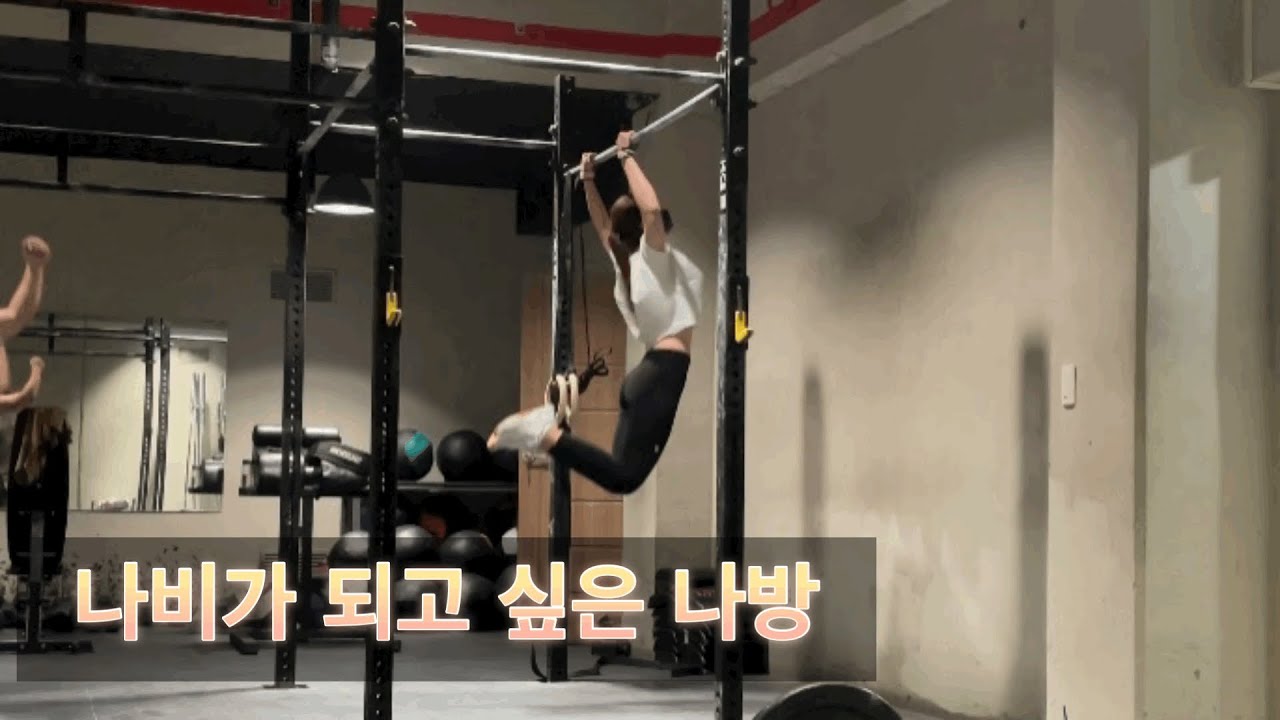크로스핏 그림일기 짧은영상 버터플라이풀업 스쿼트클린 크로스핏여자 여자크로스핏 운동브이로그