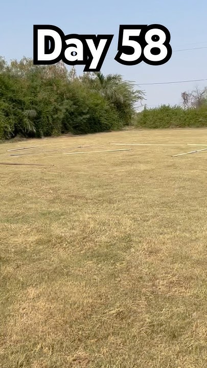 Our Wedding Location ️ | Day 58|60 | Daily Vlog Vikram Singh #minivlog #kotavlog - YouTube