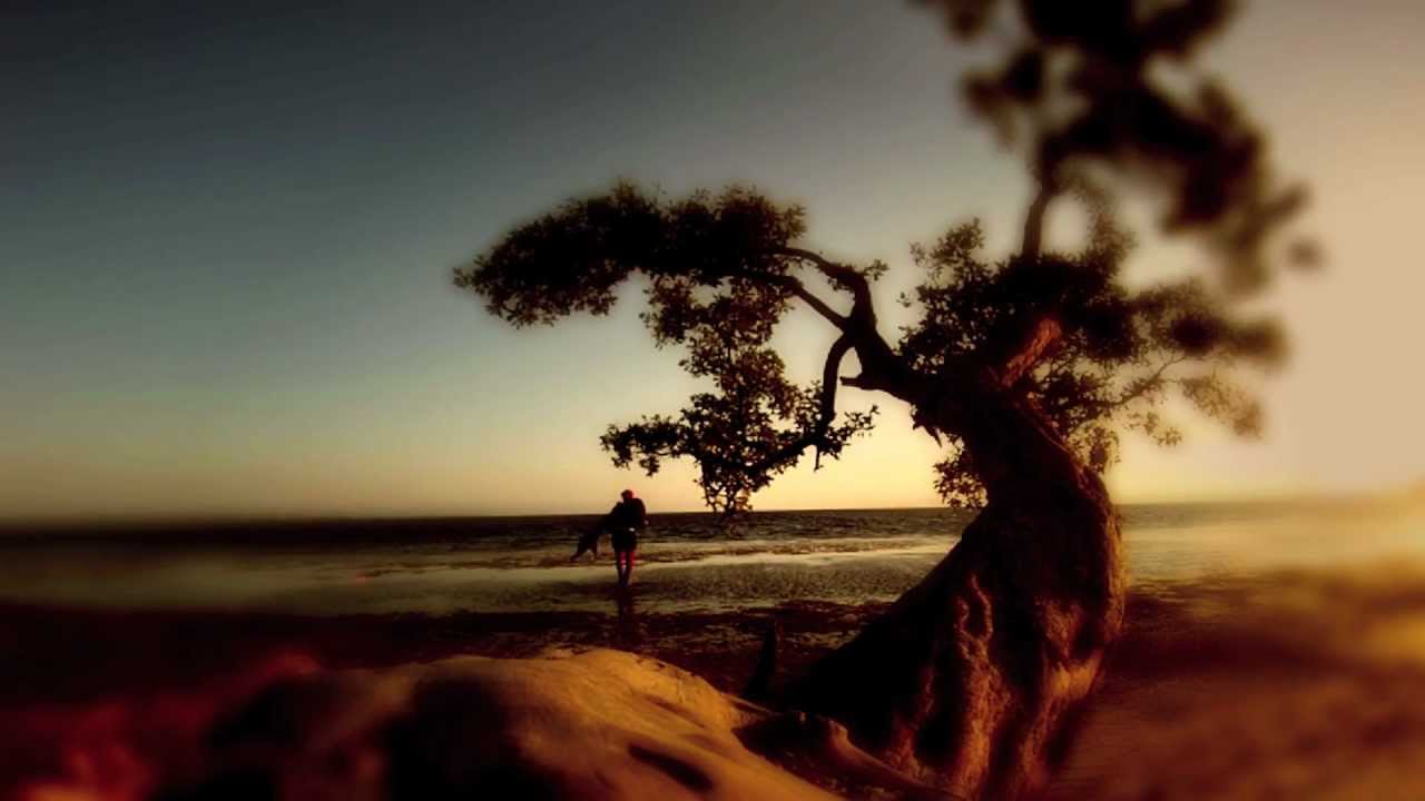 Elsten Torres "Closer Tonight" Music Video Featuring Gaby Moreno - YouTube