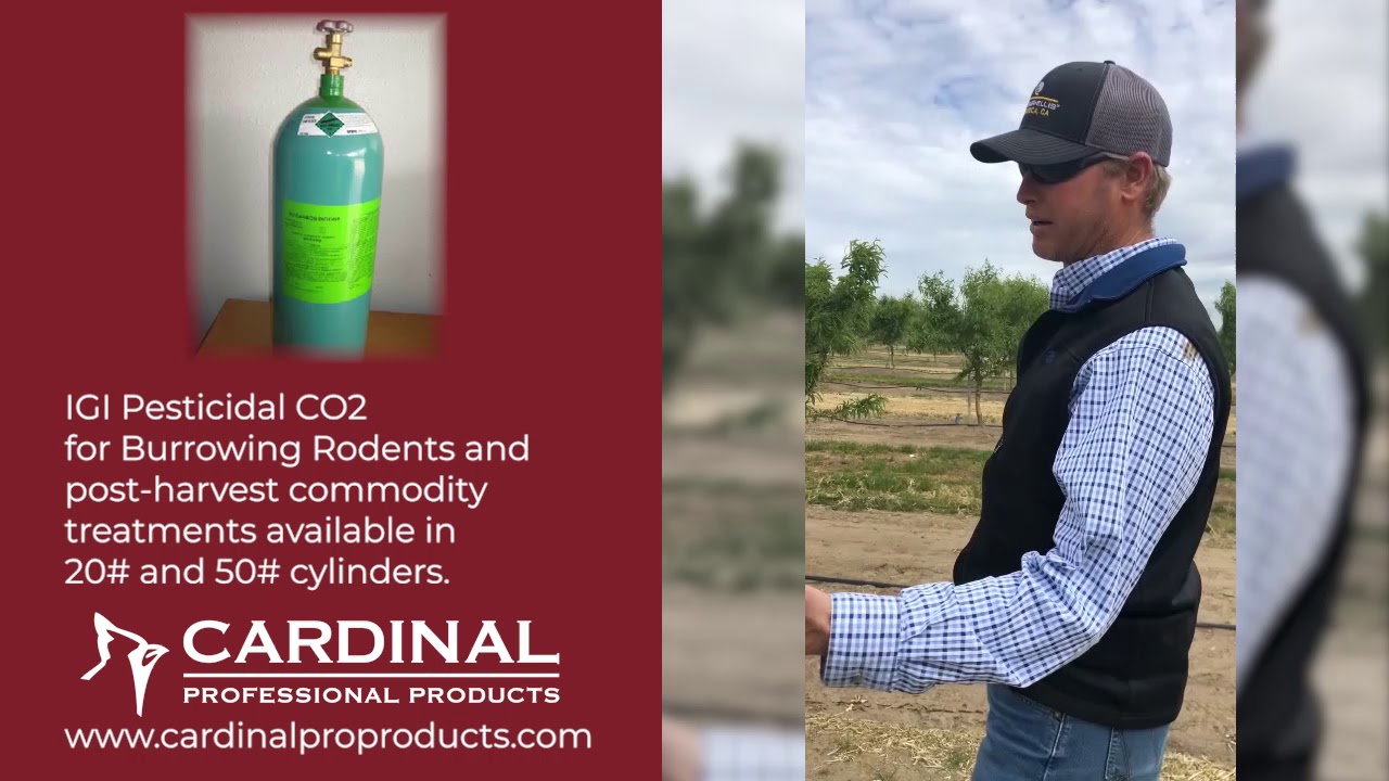 IGI CO2 Treatments for Gophers and Ground Squirrels - YouTube
