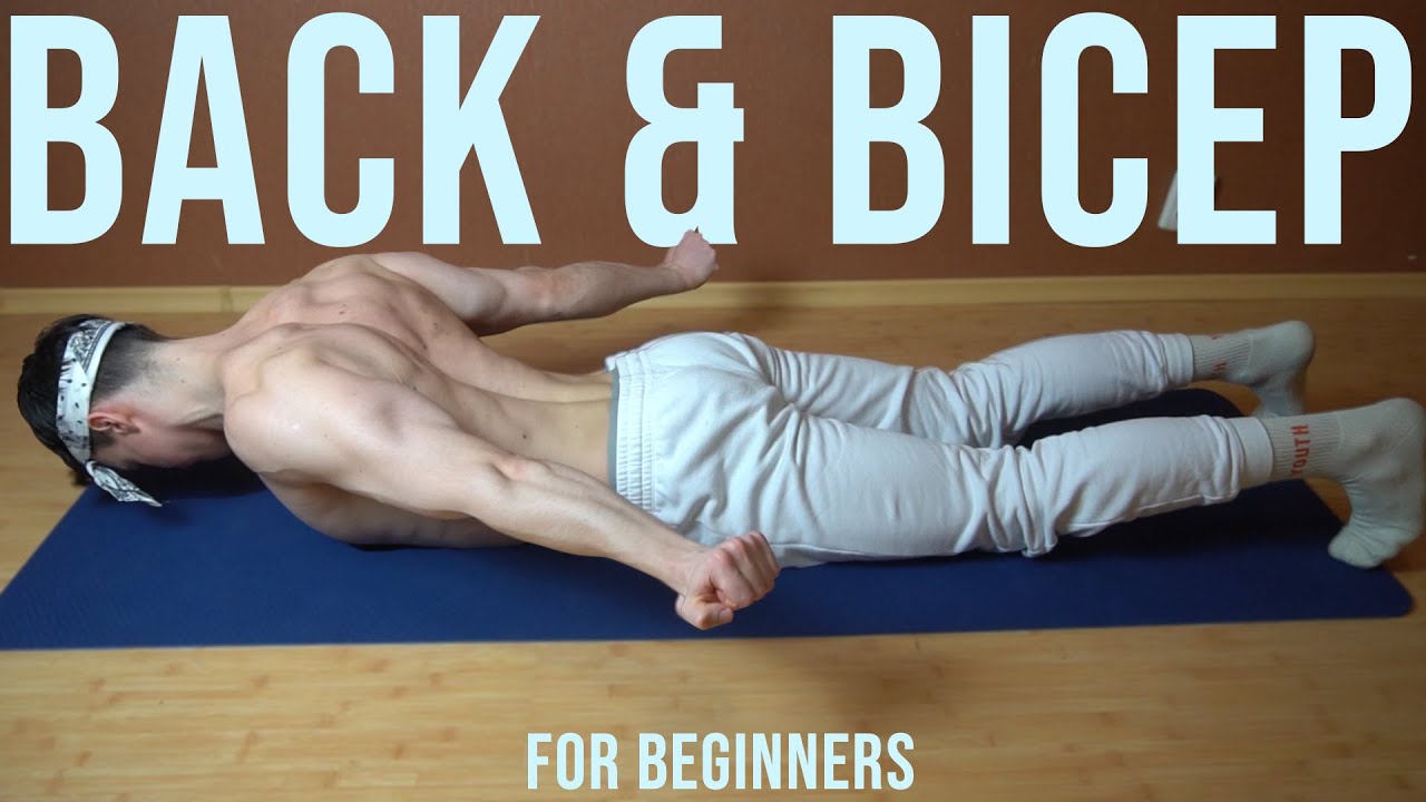 Complete Back & Bicep Workout For Beginners (8 MIN) - YouTube
