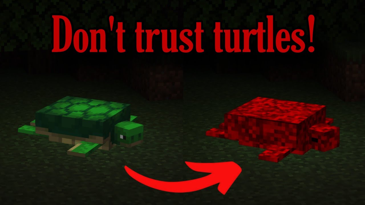 If a turtle starts following you, kill him immediately! (Minecraft ...