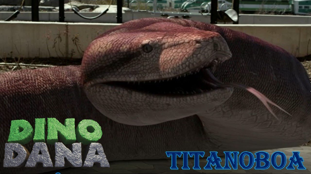 Dino Dana Titanoboa - YouTube