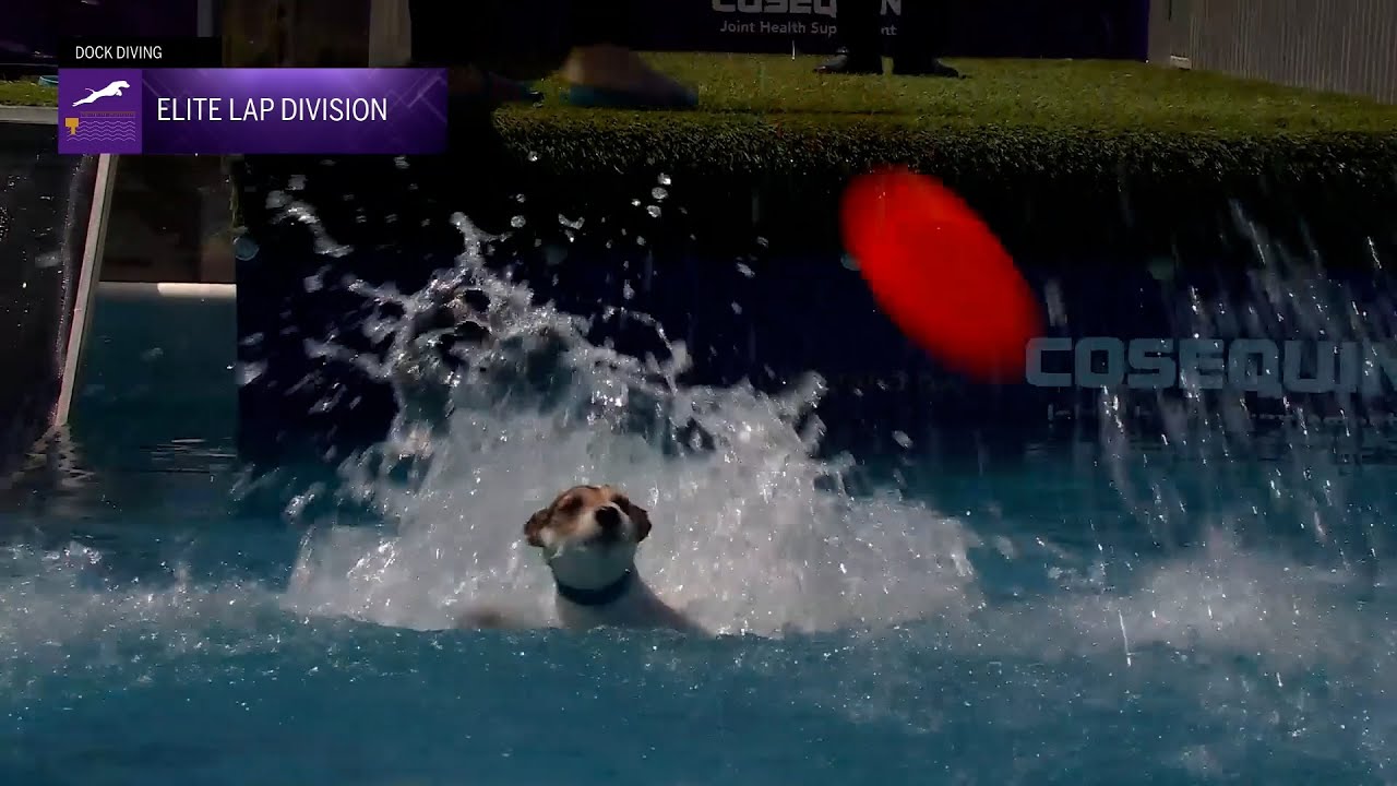 Elite Lap Class | 2024 - YouTube