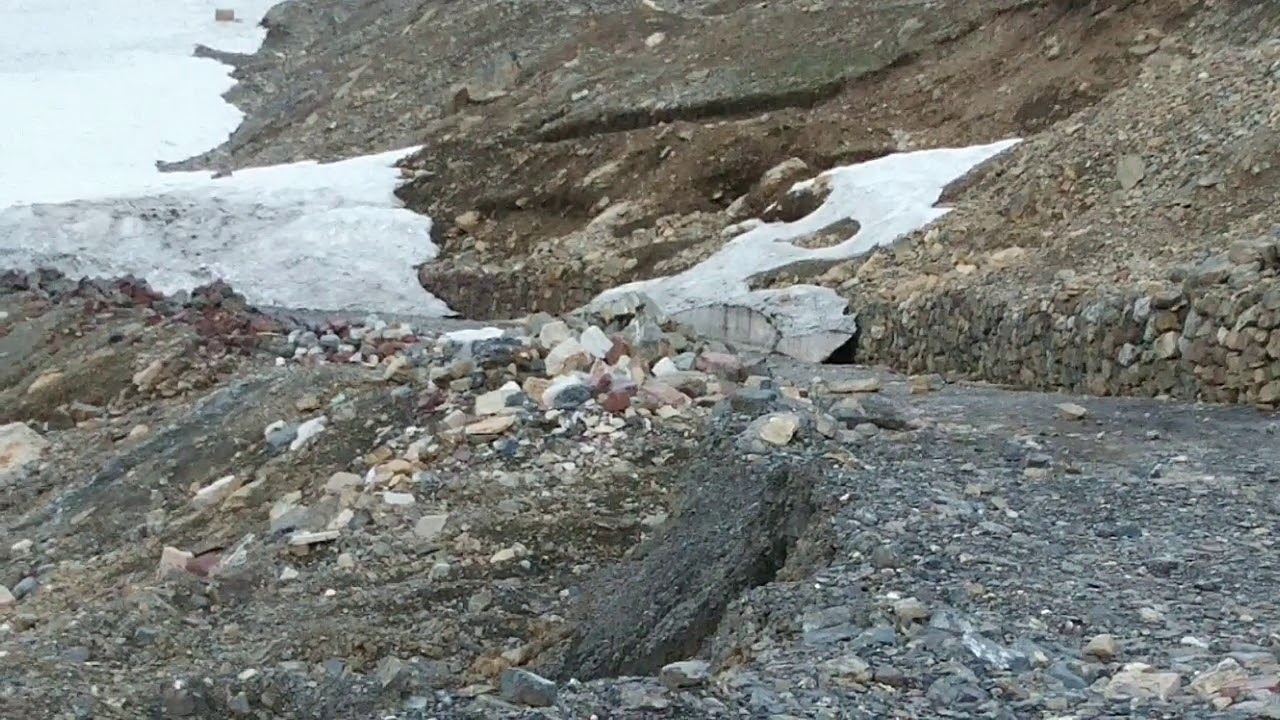 Red Fox in Mud village - YouTube