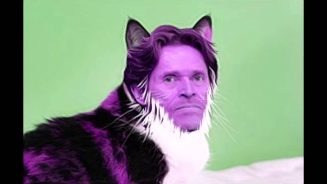 Podtoid - Willem Dafoe in "Ass-Bitch the Dancing Cat" - YouTube