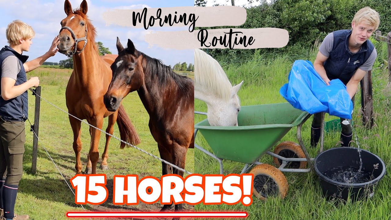 Equestrian Morning Routine! SPRING EDITION!🌸☀️ - YouTube